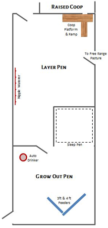 Raising Cornish Cross Chickens for Meat - Backyard Poultry